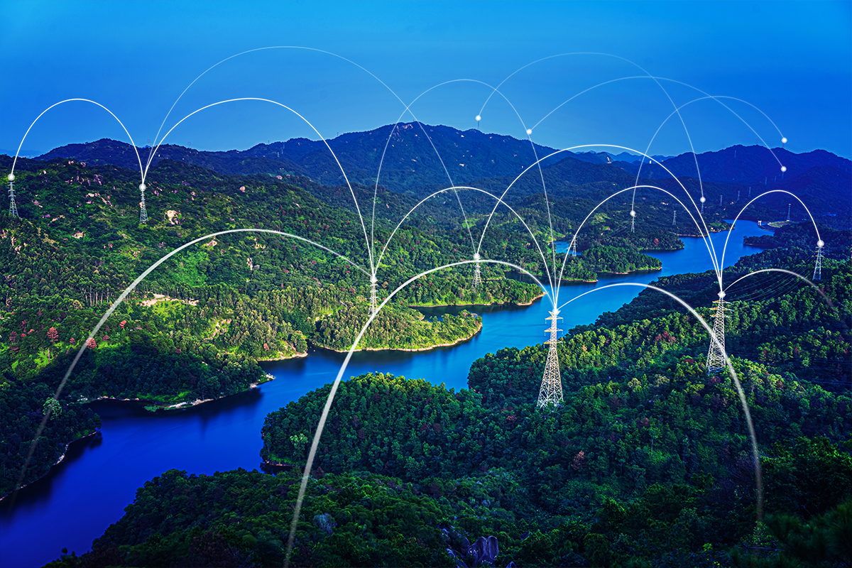 UNINET – NETISGroup